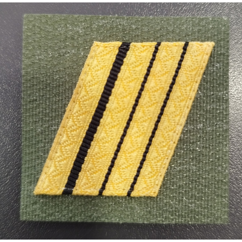 Galon de poitrine Armee de Terre